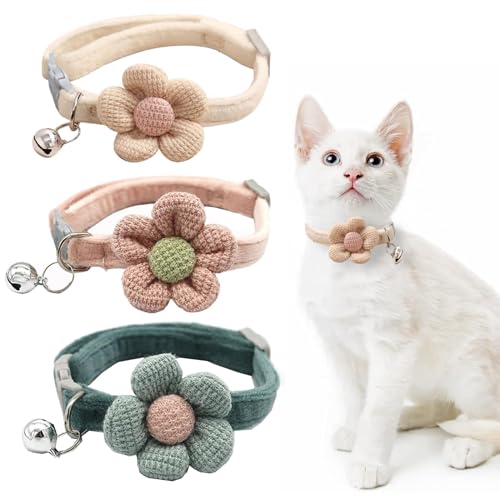 Lindos collares para gatos: los 15 mejores productos comparados - Wild ...