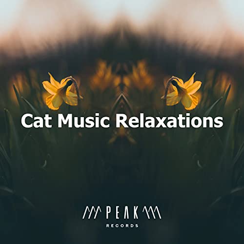 Amazon MusicでCat MusicのCat Music Relaxationsを再生する