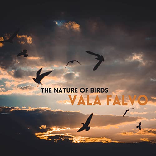Écouter The Nature of Birds par Vala Falvo sur Amazon Music Unlimited
