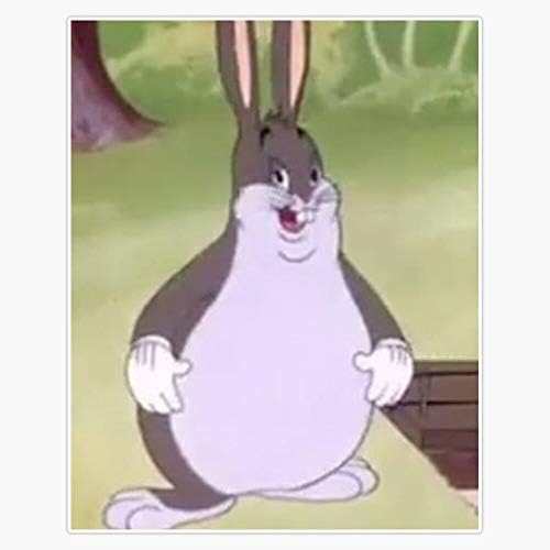 Amazon.com - Big Chungus Meme Sticker Sticker Vinyl Bumper Sticker ...