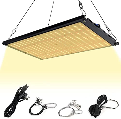 10 Best 1000W Led Grow Light 2021 For Grow Room Review