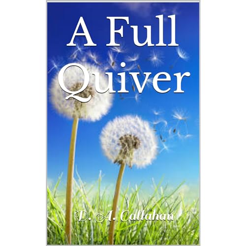 Amazon.com: A Full Quiver (Audible Audio Edition): D. A. Callahan ...