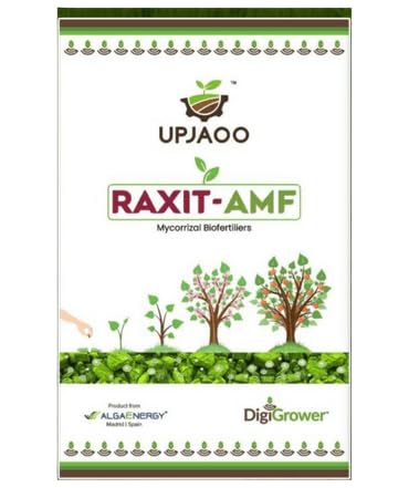 RAXIT-AMF Granular Bio Fertilizer - Enhance Plant Growth & Soil Health ...