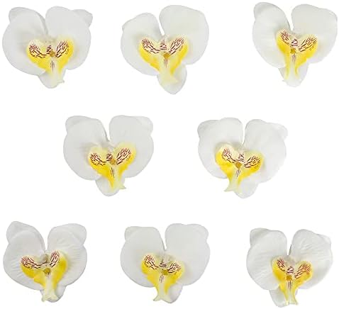 Amazon.com: HOKPA Artificial Silk Phalaenopsis Flower Heads, Fake ...