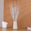 Amazon.com: 40Pcs Real Dried Birch Twigs - 17" Natural Decorative Birch ...