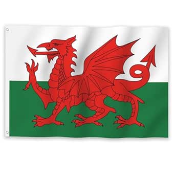 Welsh Flags - 5ft x 3ft Welsh National Flags with Eyelets, St Davids ...