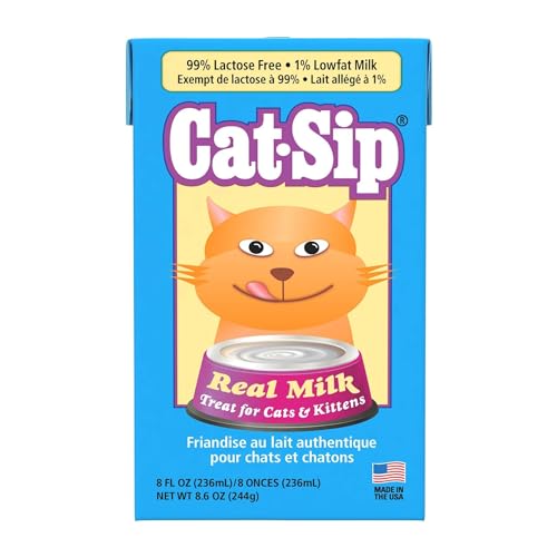 Milk for Kittens – The 15 best products compared - Wild Explained