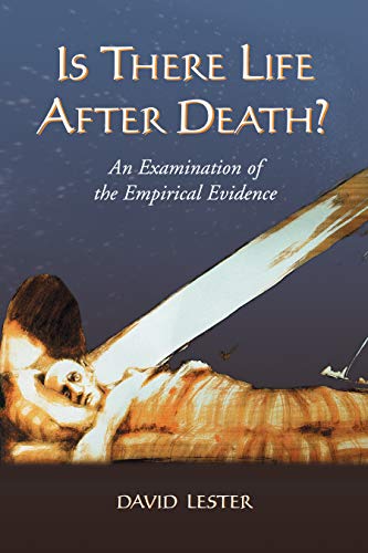 Is There Life After Death?: An Examination of the Empirical Evidence ...