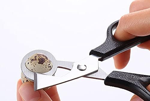 Amazon.com: Stainless Steel Quail-Egg Cutter Scissors Kitchen Egg ...