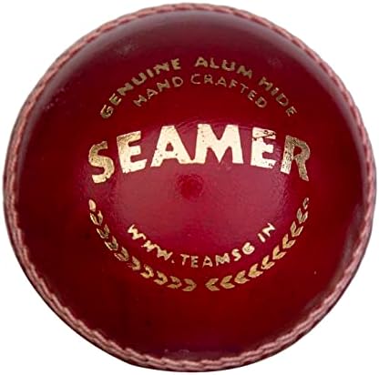 SG Test Cricket Sports Collection Original Leather Cricket Ball (RED ...