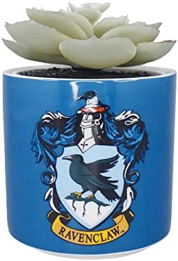 Amazon.com: Harry Potter Plant Pot, Stoneware, Blue, 150ml : Patio ...