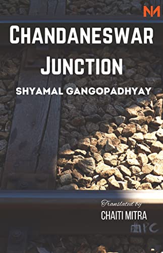 Chandaneswar Junction : And Other Stories eBook : Gangopadhay , Shyamal ...