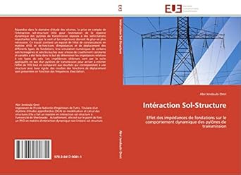 Amazon.com: Intéraction Sol-Structure: Effet des impédances de ...