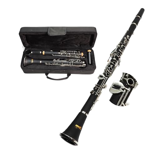 Clarinet System – The 16 best products compared - www.djgblogger.com