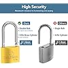 DELSWIN Weatherproof Padlock with Key (Keyed Alike) - Heavy Duty Solid ...