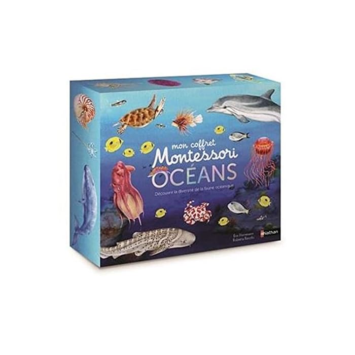 Buy Mon coffret Montessori des océans: Avec 90 cartes classifiées, 5 ...
