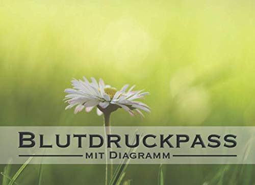 Amazon.com: Blutdruckpass mit Diagramm: Blutdruck Tagebuch zum ...