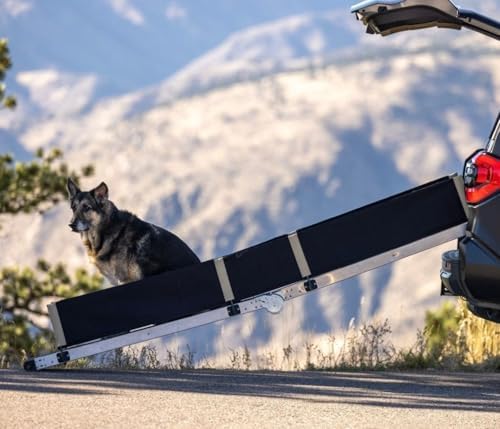 Amazon.com: 9-Ft Folding Dog Ramp Tailgate for Trucks, SUVs & Rooftop ...