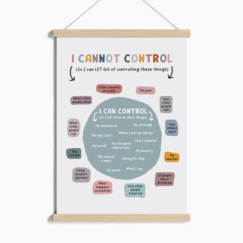 Amazon.com: Things I Can Control Poster, What I Can Control Wall ...