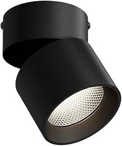 Amazon.com: HuiNian Modern Surface Mounted LED Spotlight, Indoor ...