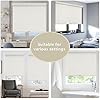 Amazon.com: SUNOFF Cordless Blackout Roller Shades Blinds for Windows ...