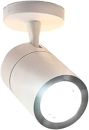 TVSKWMRQ LED Directional Spotlight Adjustable Surface Monopoint Sconce ...