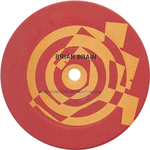 Play Who Hung The Monkey by Brian Brain on Amazon Music