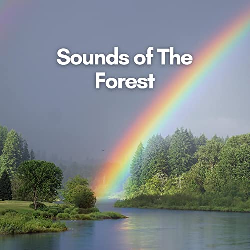 Amazon MusicでSounds of Nature Noise, Sounds of the Forest & Natural ...