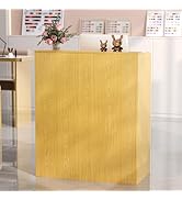 Amazon.com: OmySalon Reception Desk with Counter, Small Front Desk w ...