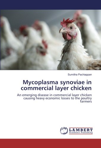 Mycoplasma Synoviae In Commercial Layer Chicken An Emerging Disease In ...