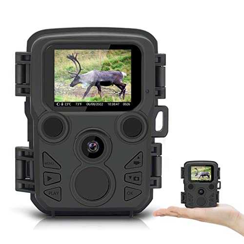 Mini Wildkamera – Die 15 besten Produkte im Vergleich - HundeINFOPortal