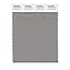 Pantone 16-3915 TCX Smart Color Swatch Card, Alloy - House Paint ...