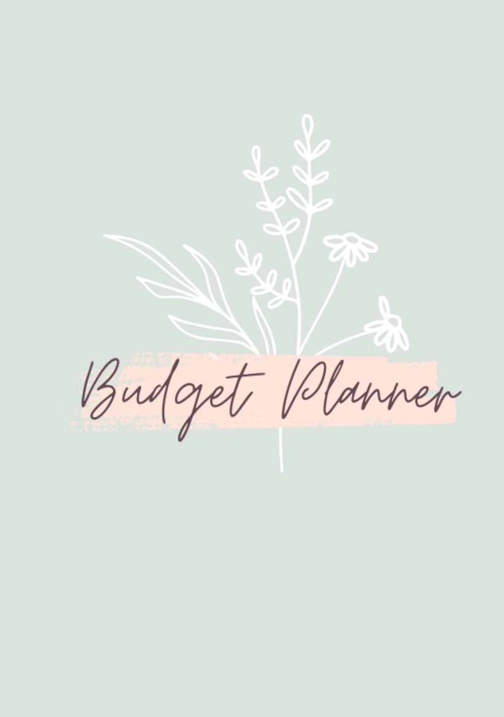 Budget Planner: Undated 12 Month Budget Planner, Expense Tracker ...