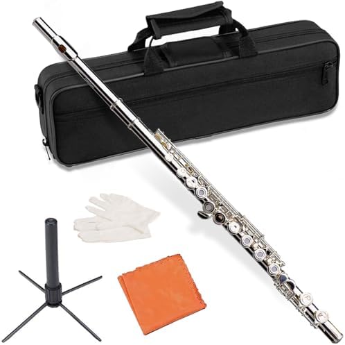 Amazon.com: Ceciliec Closed Hole C Flute With Case, 16 Keys Flute for ...
