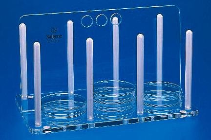 Petri Plate Rack [ 1 Ea.]: Science Lab Tube Racks: Amazon.com ...