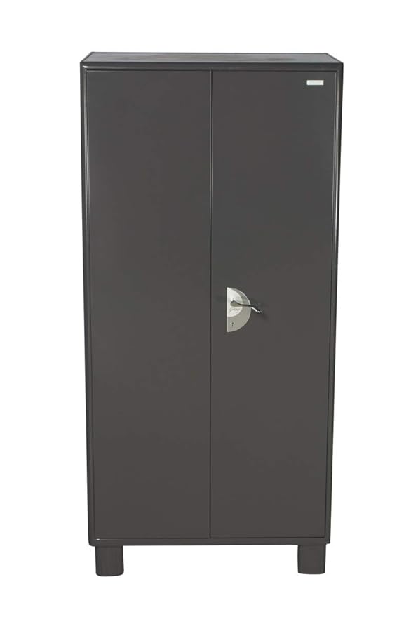 GODREJ INTERIO Storwel® M2 2-Door Steel Almirah (Graphite Grey) (1-Year ...
