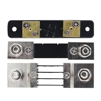 Amazon.com: Shunt 10A20A30A50A100A200A300A 75mV FL-2 Digital Voltage ...