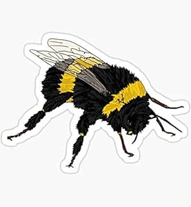 Amazon.com: Bumble Bee Sticker - Sticker Graphic - Waterbottle Laptop ...