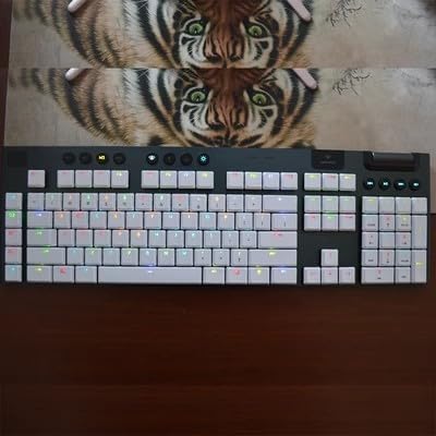 Amazon.com: AMair Texture Tactility Backlit Keycaps Replacement for GL ...