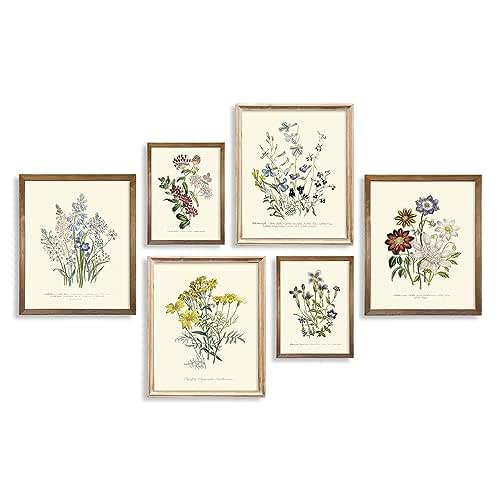 Amazon.com: Rustic Modern French Country Cottagecore Wall Art ...