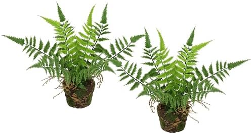 Amazon.de: Künstlicher Waldfarn im Topf 23cm 2er Set Boston Farn ...