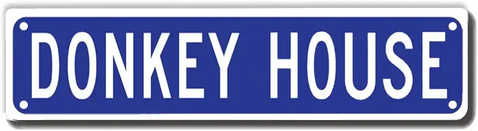 The Basics Of Burro Donkeys: Understanding These Adorable Equines | PetShun