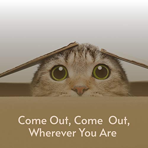 Come out, Come out, Wherever You Are de VARIOUS ARTISTS en Amazon Music ...