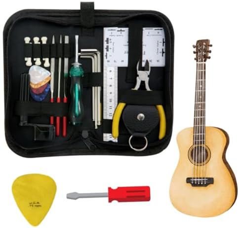 Complete 31-Piece Guitar Maintenance Tool Kit with Carrying Case ...