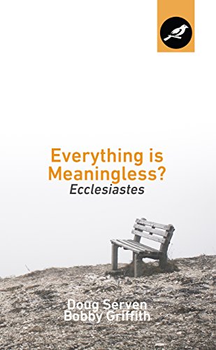 Everything Is Meaningless?: Ecclesiastes - Kindle edition by Serven ...