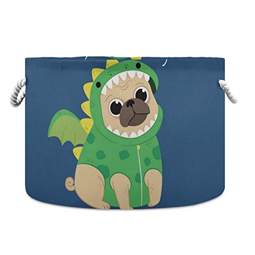 10 Adorable Costumes for Your Furry Friend: The Ultimate Guide to ...
