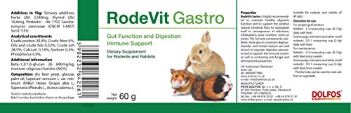 RodeVit Gastro Probiotic Herbal Mixture and Beta-Glucan for Rodents and ...
