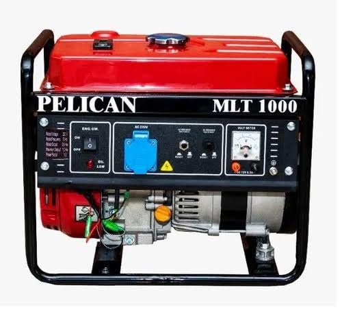 KGN TRADERS GEN Pelican Generator MLT 1000 Portable Electric Generator ...