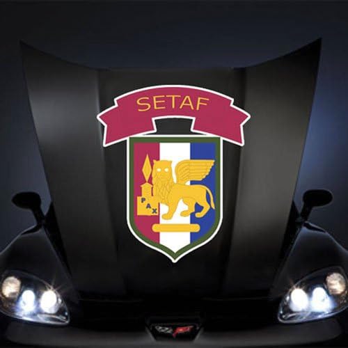 Amazon.com: US Army Southern European Task Force SSI 20" Huge Decal ...
