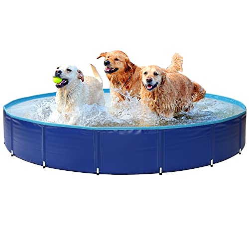 Make a splash with our top 10 rectangle dog pools: Your ultimate buying ...